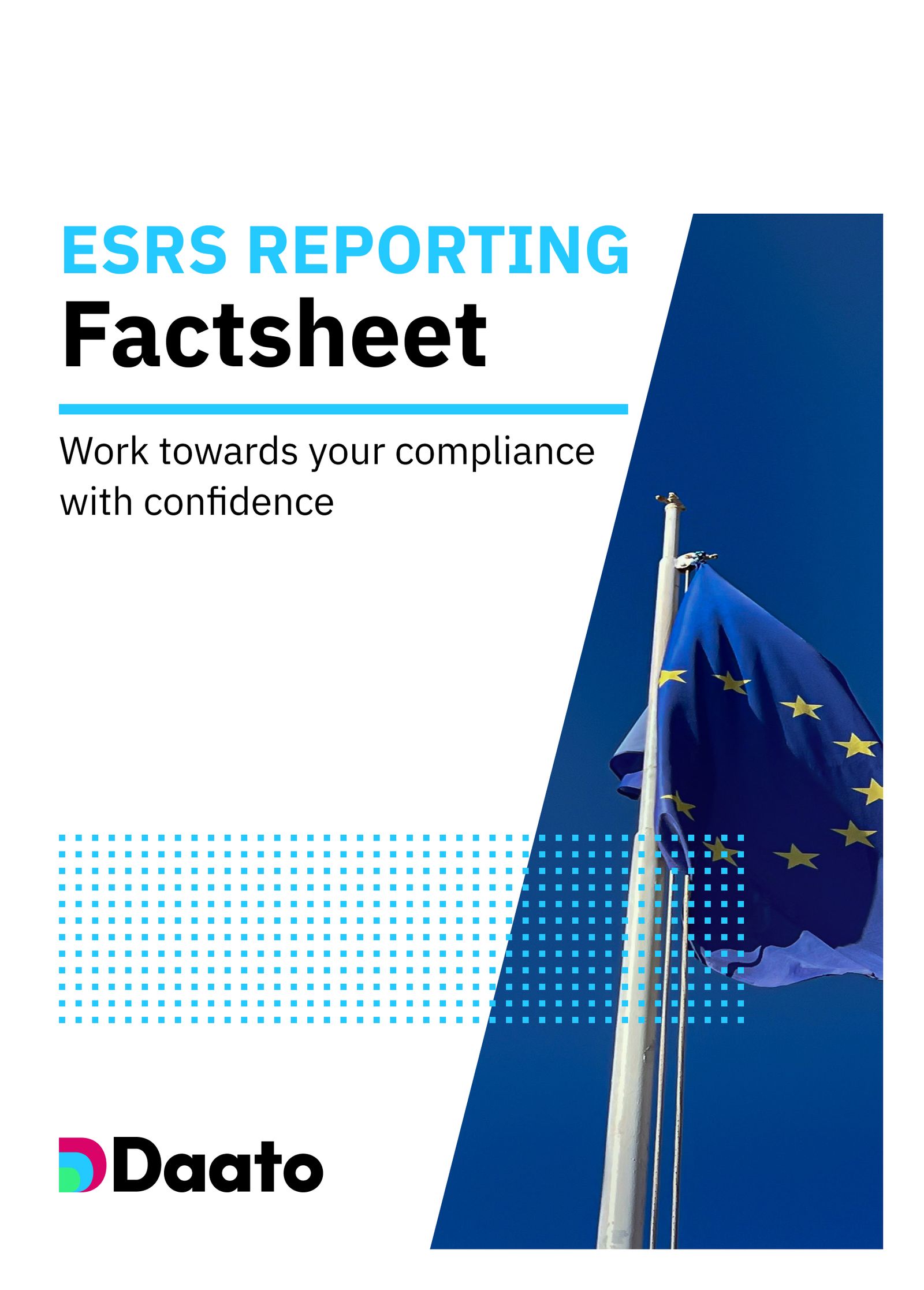 Access your ESRS updated factsheet